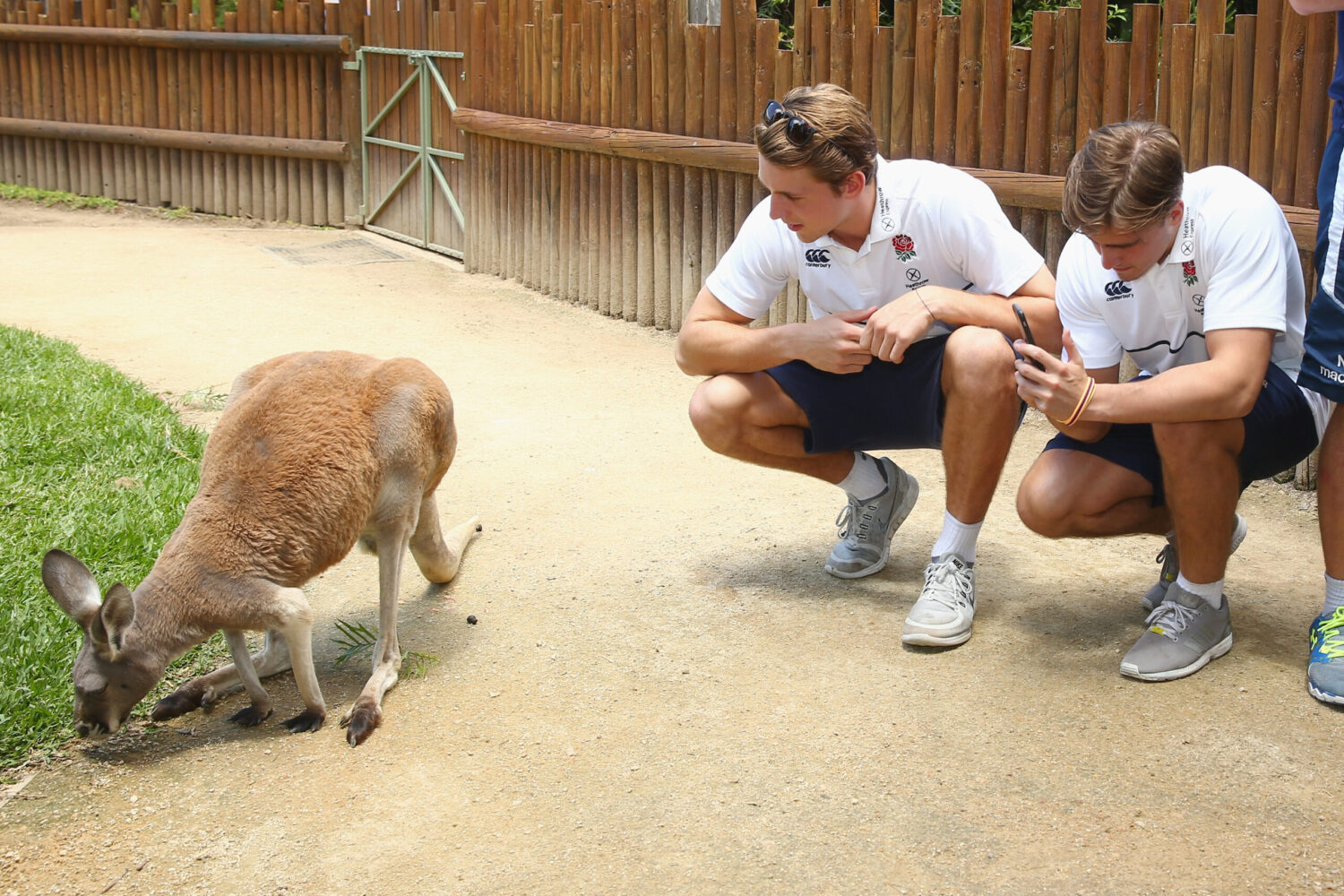 A new Denver Zoo habitat that allows to you in with kangaroos and ...